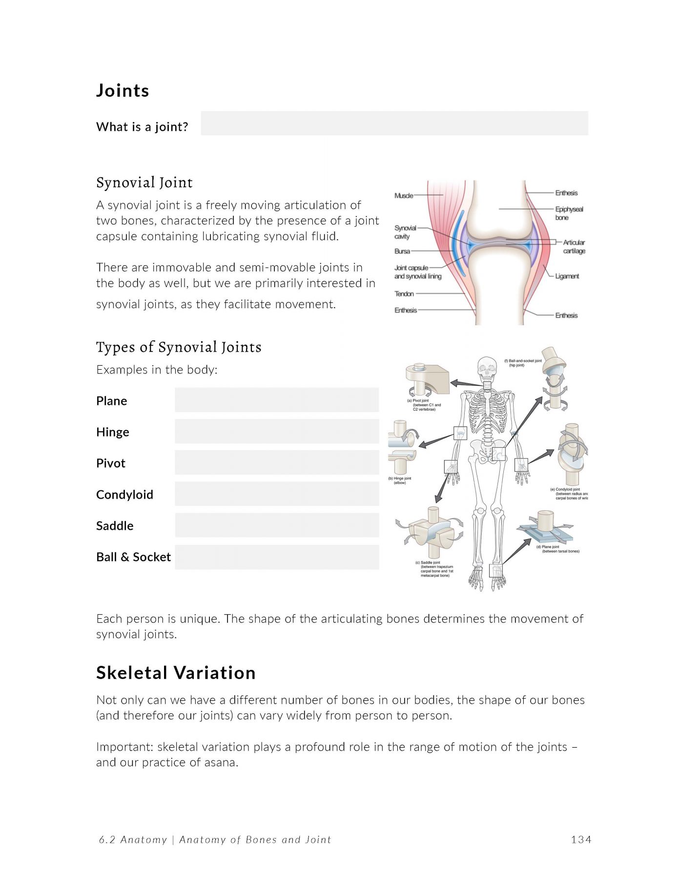 200 Hour Manual: 600 + Pages | Rachel Scott