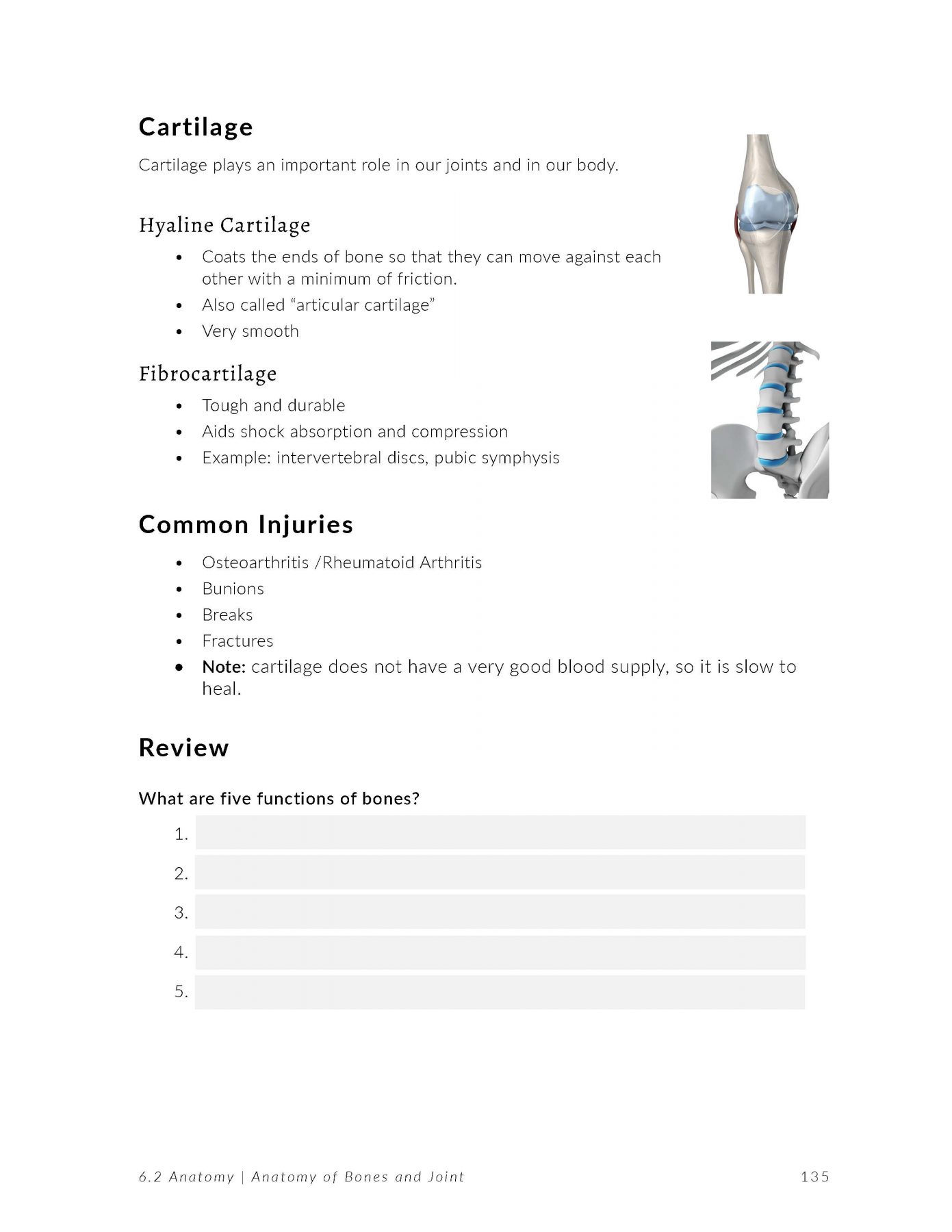 Yoga Teacher Training Student Manual | Resources for Yoga Teacher Trainers