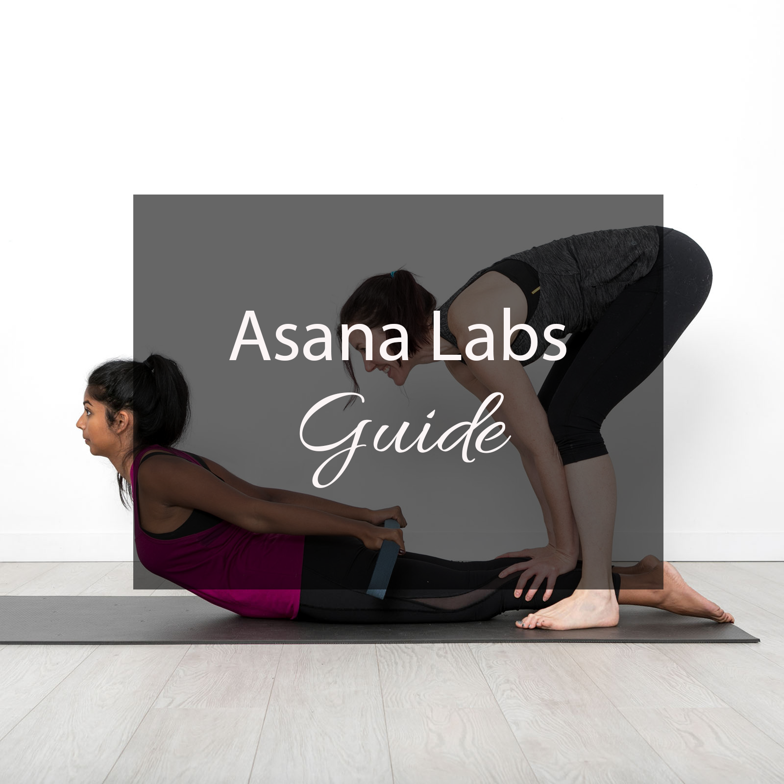 Asana Labs - Lesson Plans for Yoga Teacher Trainers