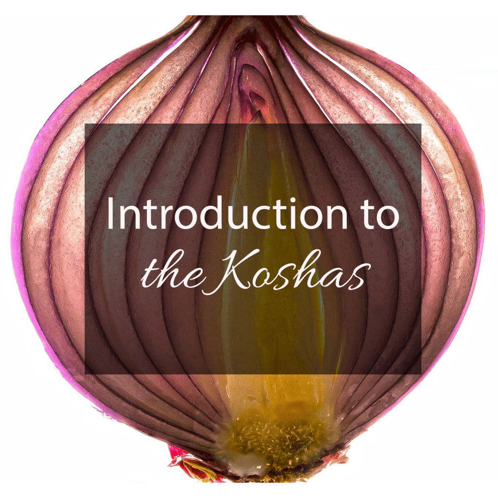 Introduction to the Koshas - Lesson Plan for Yoga Trainers