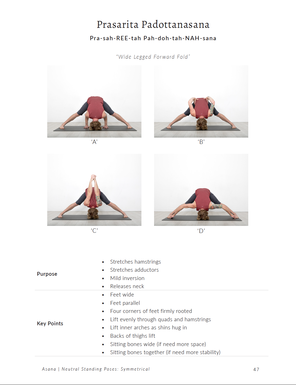 Yoga Manual - Complete Asana Section | Lesson Plan for Yoga Trainers