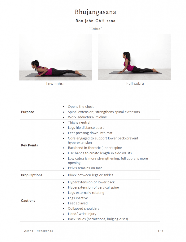 Yoga Manual - Complete Asana Section | Lesson Plan for Yoga Trainers